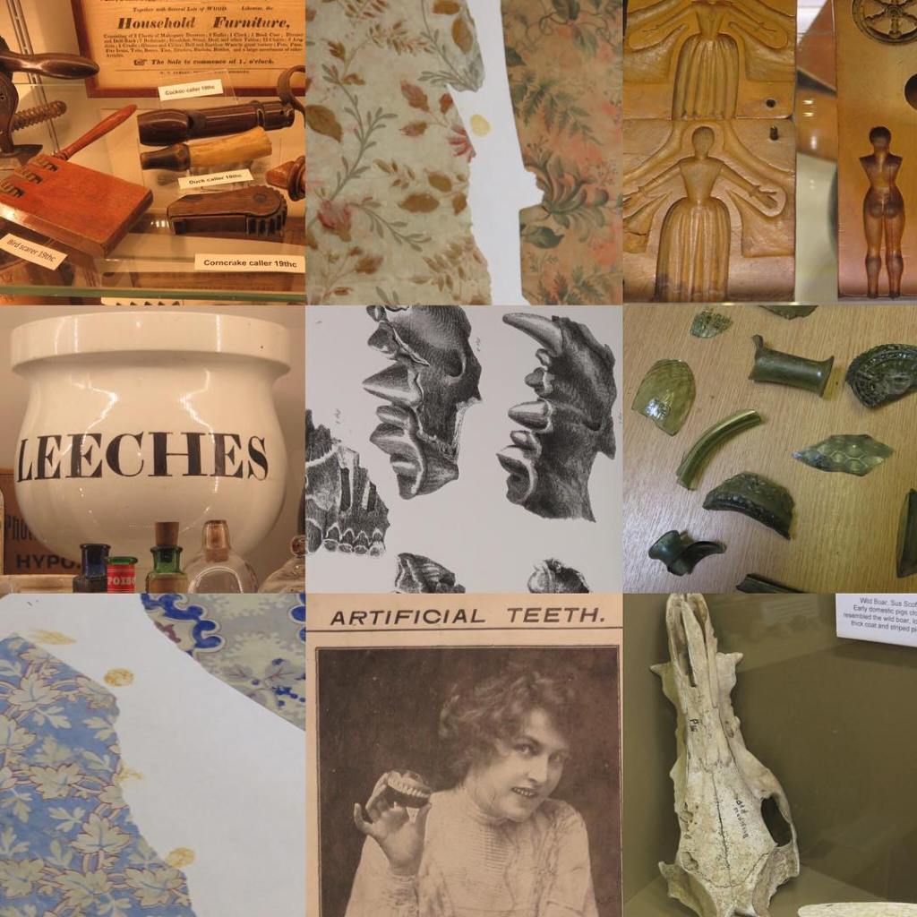 Hester Cox: Printmaker | Thoughts from Hester's printmaking studio and ...