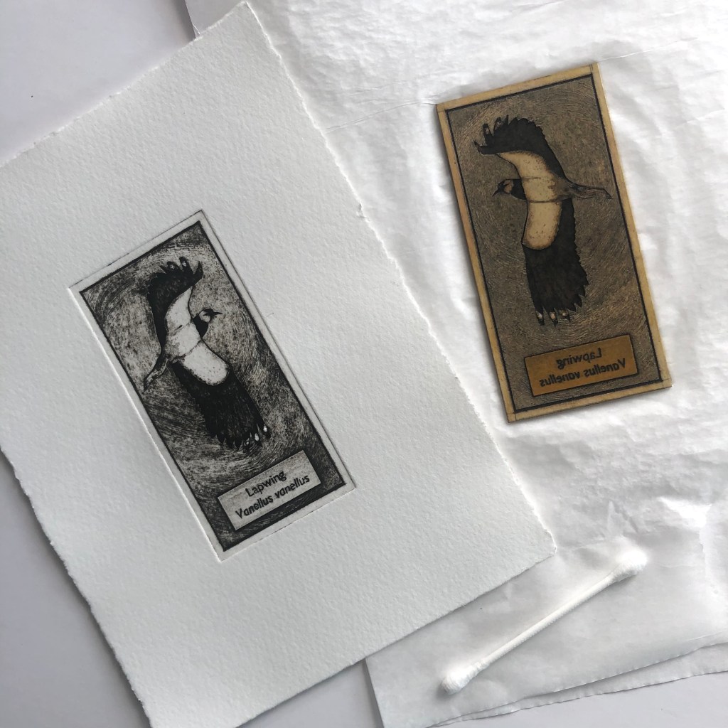 collagraph | Hester Cox: Printmaker