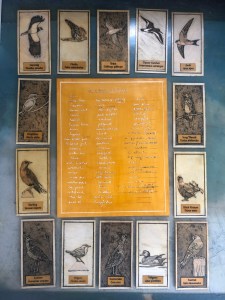 collagraph | Hester Cox: Printmaker