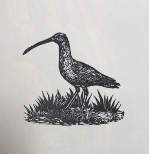 collagraph | Hester Cox: Printmaker