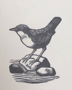 collagraph | Hester Cox: Printmaker