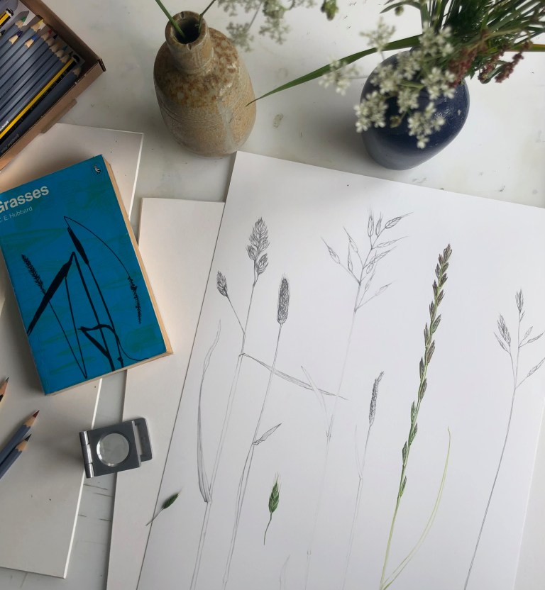 Hester Cox: Printmaker | Thoughts from Hester's printmaking studio and ...