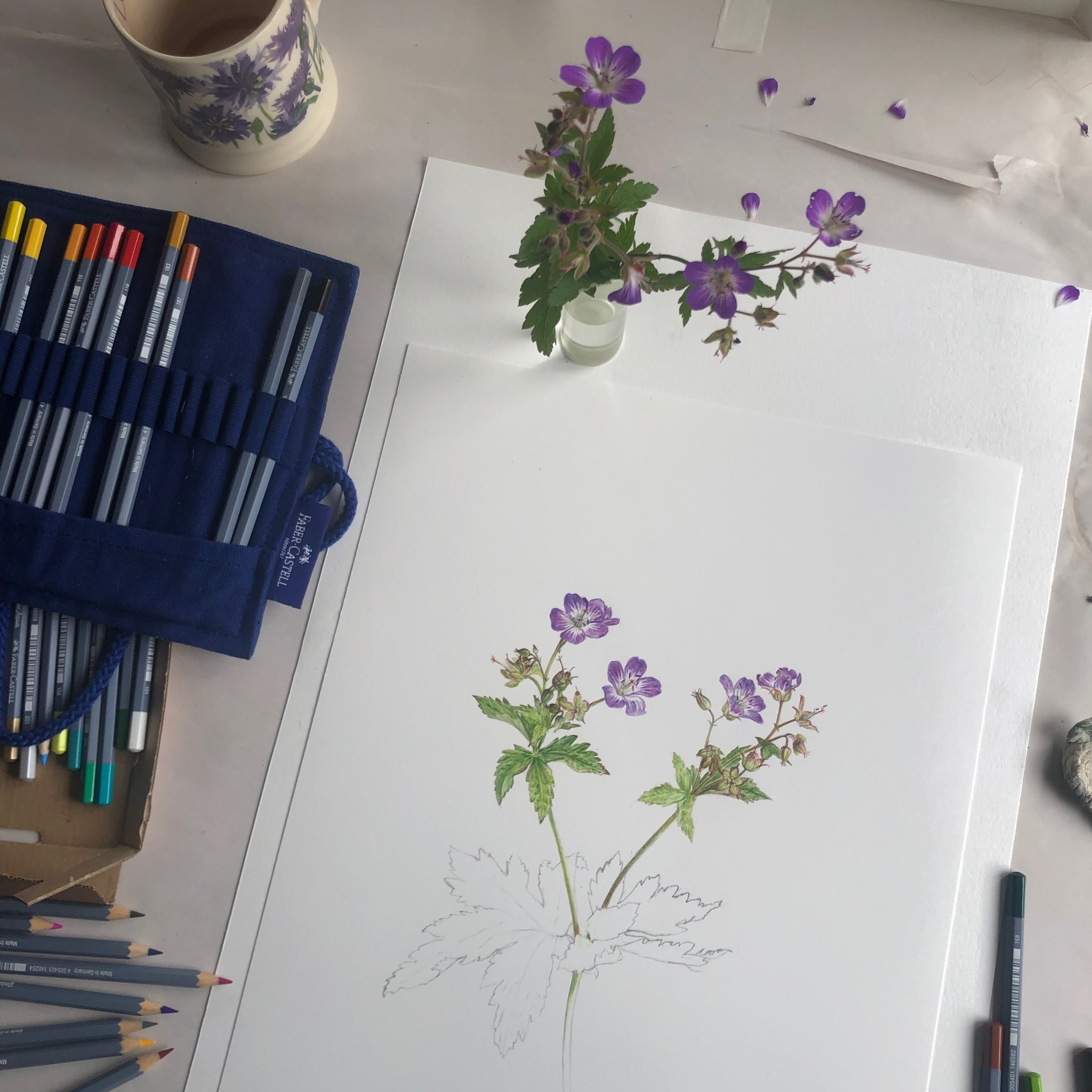 Hester Cox: Printmaker | Thoughts from Hester's printmaking studio and ...