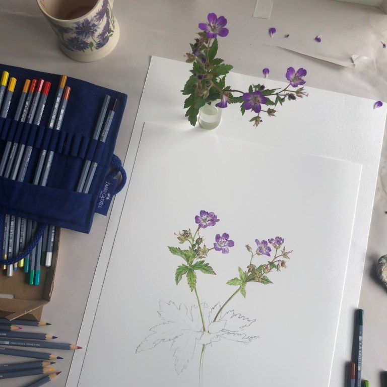 Hester Cox: Printmaker | Thoughts from Hester's printmaking studio and ...