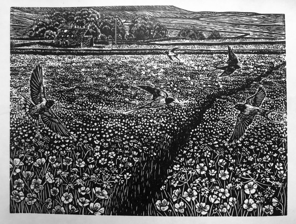 Hester Cox: Printmaker | Thoughts from Hester's printmaking studio and ...