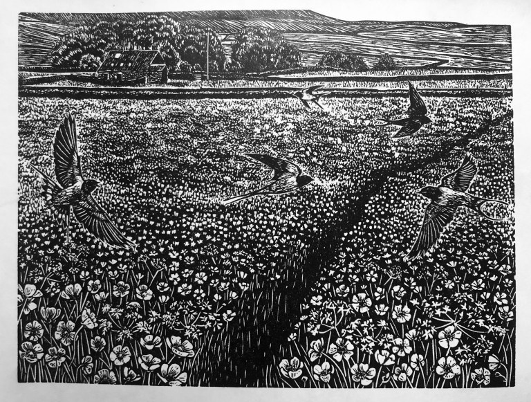 Hester Cox: Printmaker | Thoughts from Hester's printmaking studio and ...