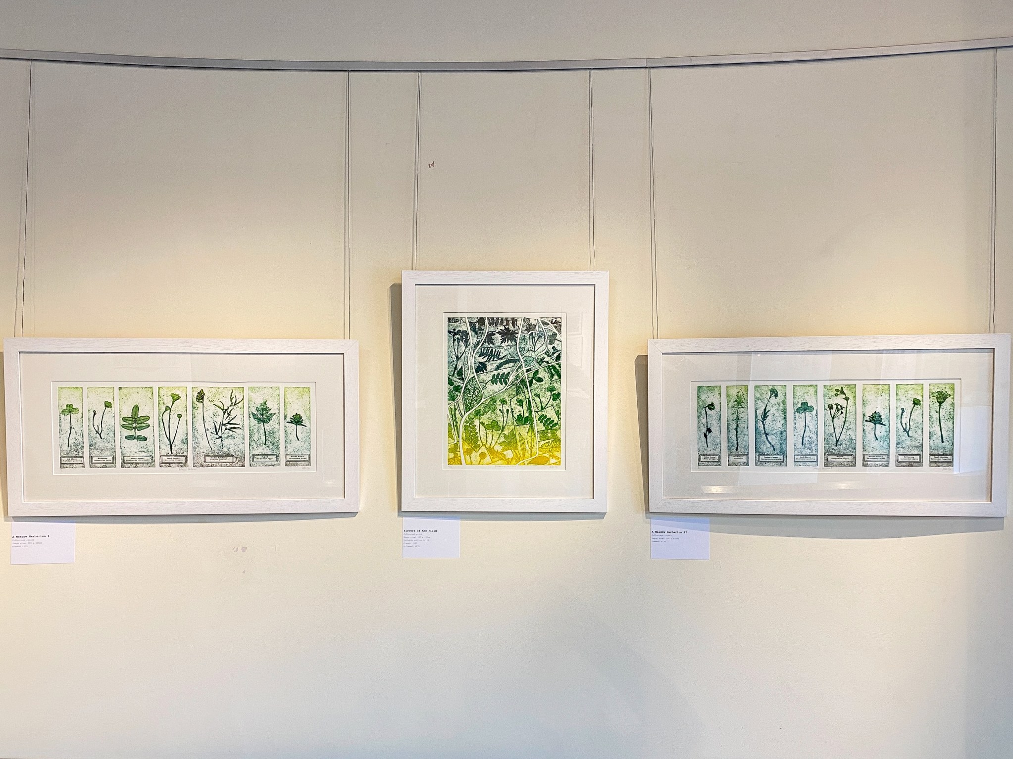Hester Cox: Printmaker | Thoughts from Hester's printmaking studio and ...
