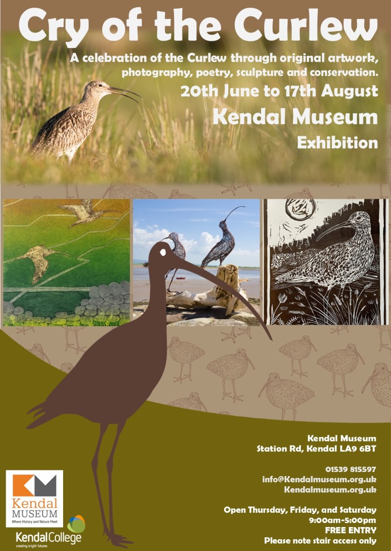 collagraph | Hester Cox: Printmaker