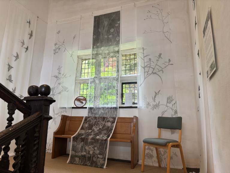 collagraph | Hester Cox: Printmaker